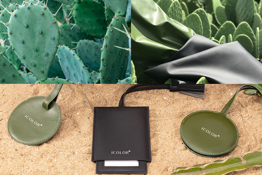 Cactus Leather - iColor